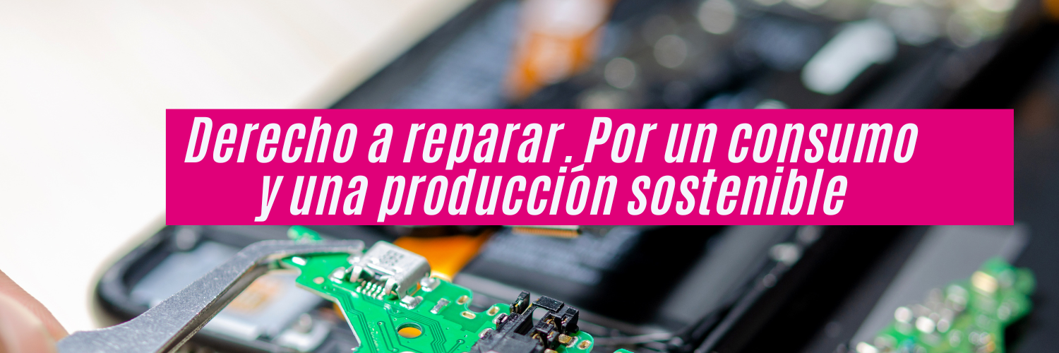 Recopilamos aprendizajes para avanzar hacia un verdadero derecho a ...